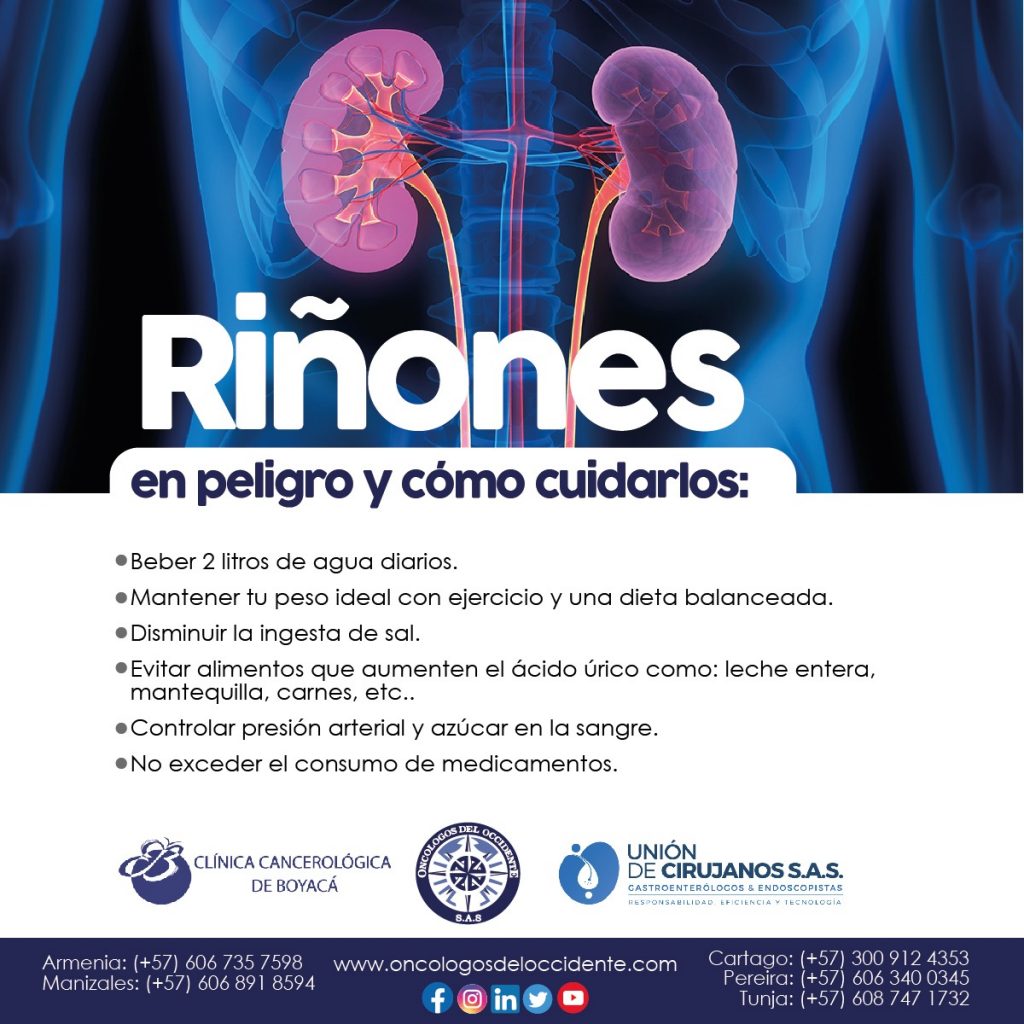 Riñones en peligro y como cuidarlos • Oncólogos del Occidente S.A.S ...
