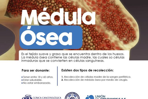 Médula Ósea • Oncólogos del Occidente S.A.S. | Zentria | Tratamientos ...