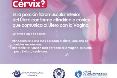 ¿Qué es el Cérvix? • Oncólogos del Occidente S.A.S. | Zentria ...